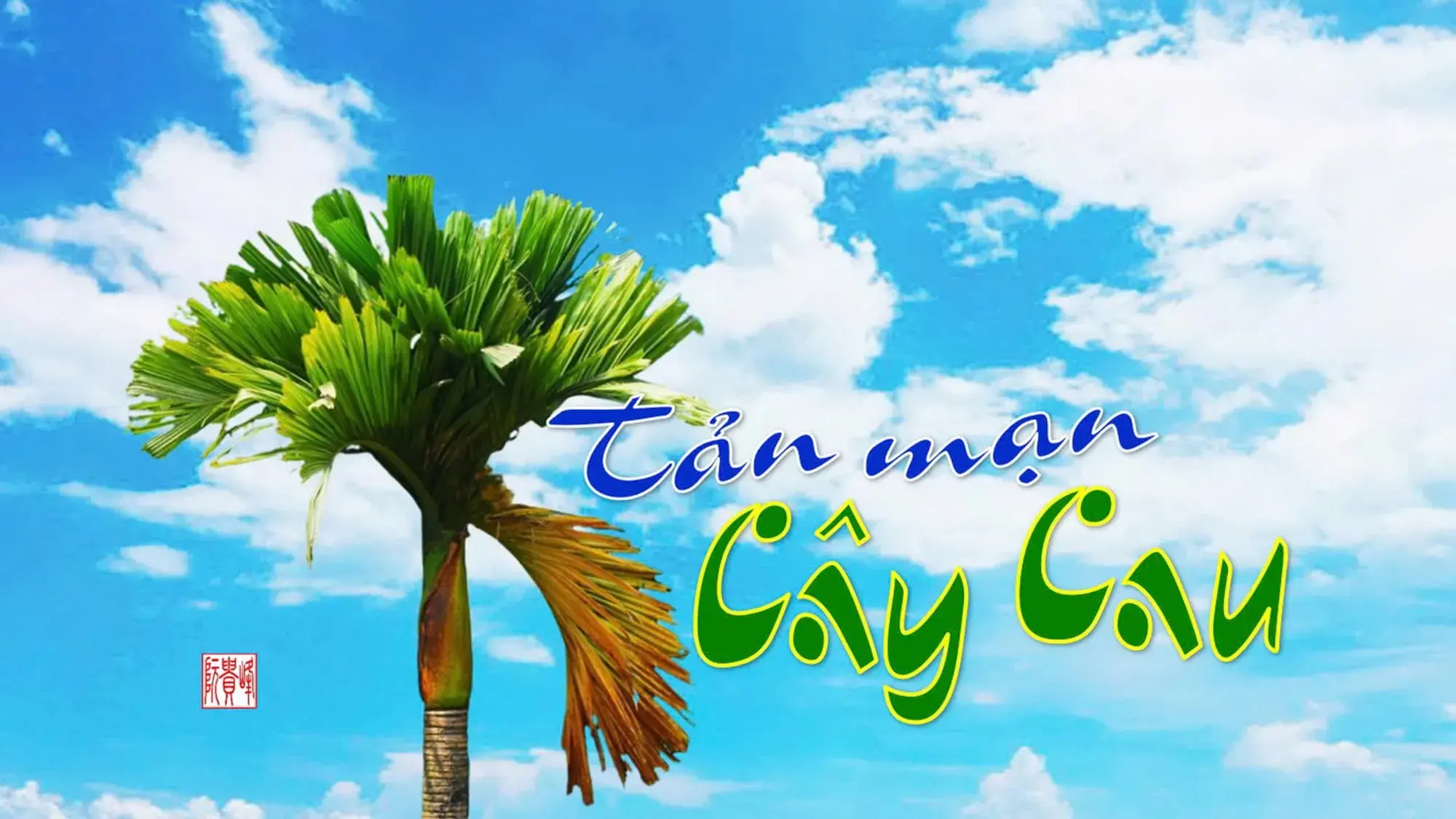 TẢN MẠN CÂY CAU
